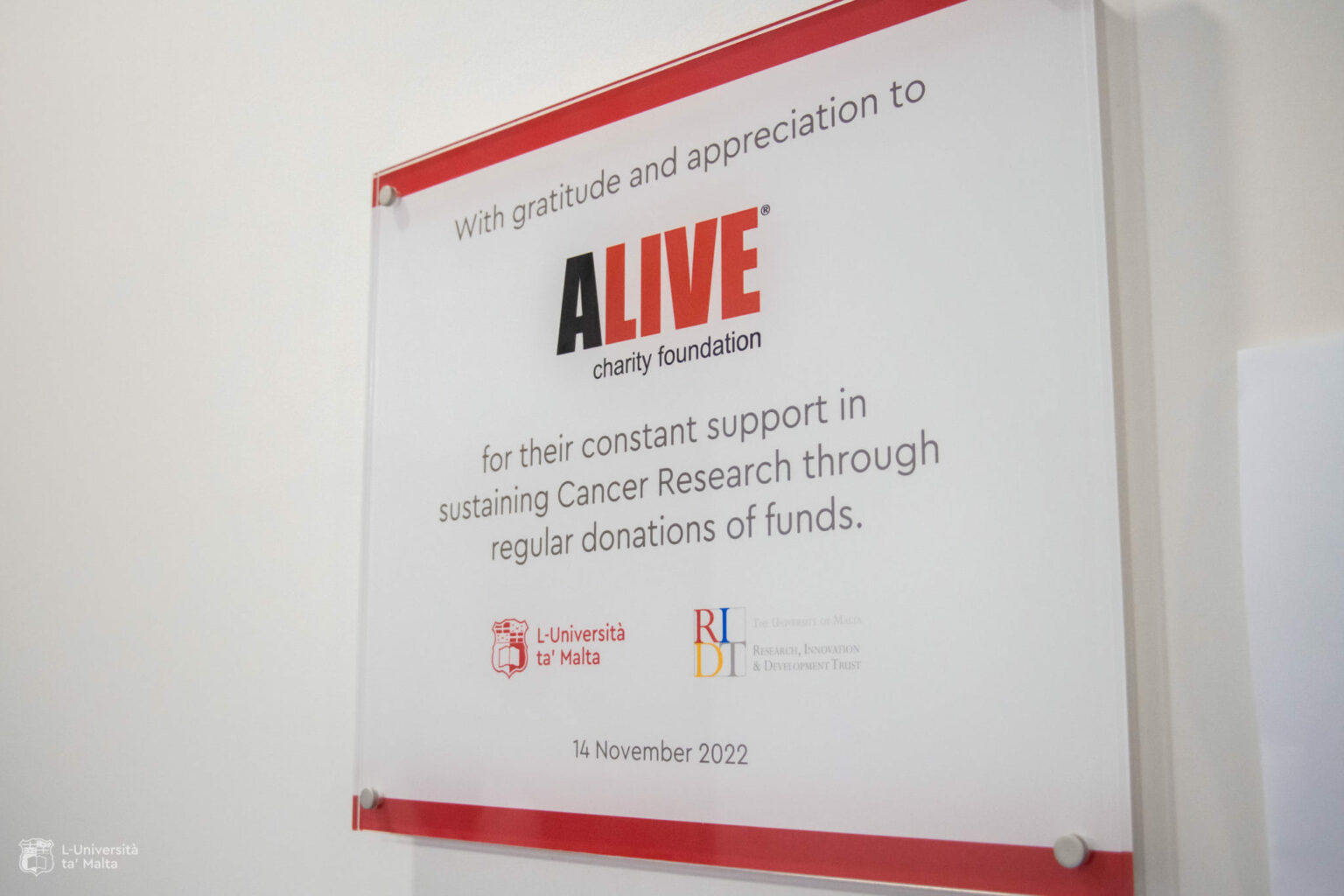 Alive Foundation